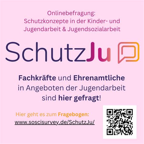 Online Befragung Schutzju Schutzkonzepte In Der Kinder Und Jugendarbeit Bis Zum 151122