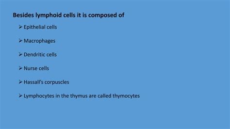 Primary And Secondary Lymphoid Organs Ppt