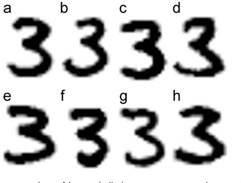 Figure 1 From Image Classification Based On Complex Wavelet Structural