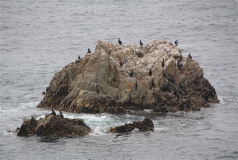 Soberanes Point Beach At Garrapata State Park In Carmel Ca