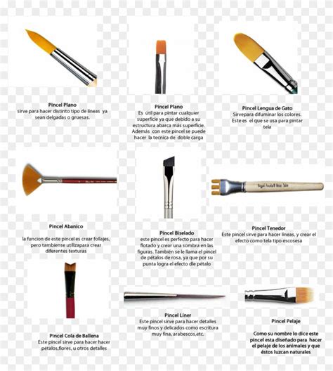 Tipos De Pincel Con Info Manoart Tipos De Pinceles Para Oleo Hd Png
