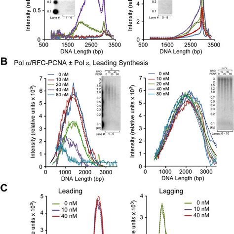 Gimp Windows Bits Download For Windows Charatorr Cremoparrapart