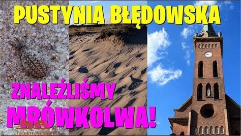 Odkryj Tajemnicę Pustyni Gorących I Chłodnych lipiec 2025 Biografin pl