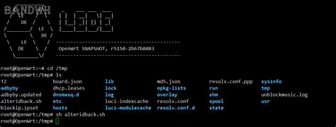 Ssrplus V2ray装回alterid脚本，解决订阅机场难题 折腾之路
