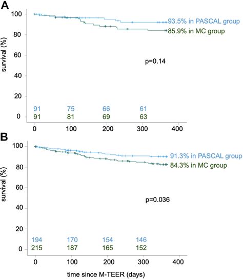Mitral Valve Transcatheter Edge To Edge Repair Using Mitraclip Or Pascal A Multicenter Mitral Valve Transcatheter Edge To Edge Repair Using Mitraclip Or Pascal A Multicenter