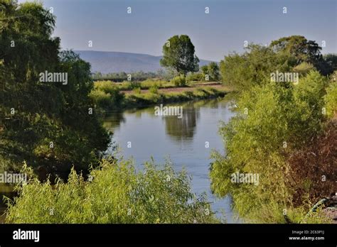River With Big Trees Around Stock Photo Alamy