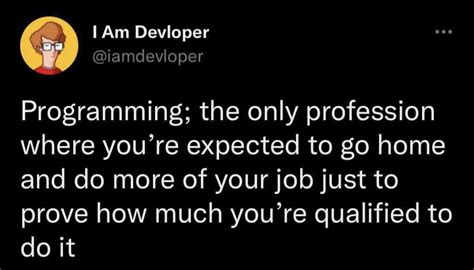 honest life of a developer r programmerhumor