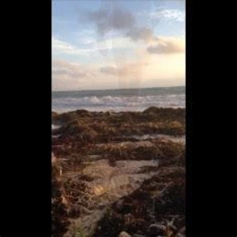 Nudo Sulla Spiaggia XHamster
