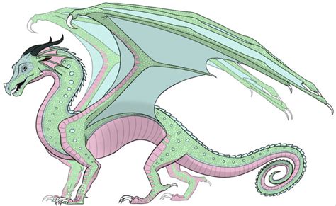 Rainwing For My Winglet Fandom