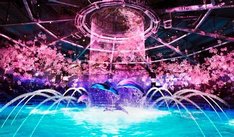 Maxell Aqua Park品川水族馆春季活动NAKED SAKURA AQUARIUM 公共空间艺术设计网 公共艺术 艺术装置