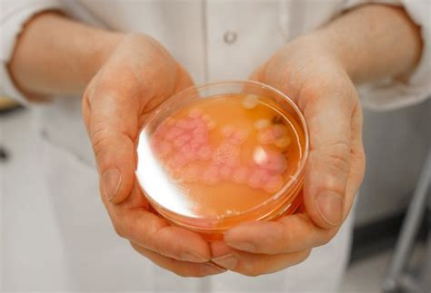 Microbac Laboratories Inc On Linkedin This Lab Is Providing Expert