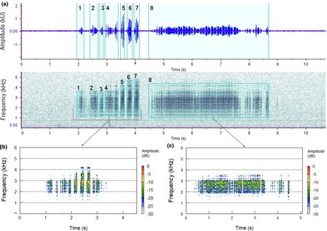 4 Single Species Sound Analysis Analysis Of The Sound Types Of A