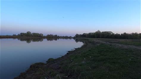 ПРИРОДА РЫБАЛКА ПЕНИЕ ПТИЦ Youtube