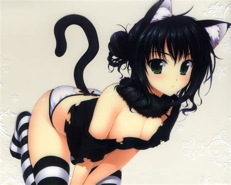 Sexy Neko Girl Girl Anime Manga Girl Sexygirl Hotgirl Neko