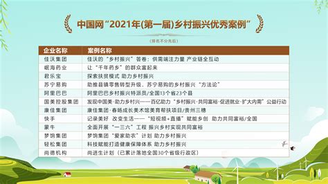 中国网2022第二届乡村振兴优秀案例调研