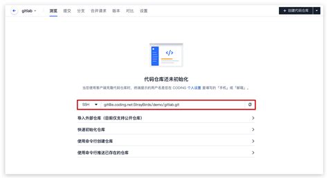 导入或关联外部仓库 什么是 Devops Devops 介绍 ｜ Coding Devops