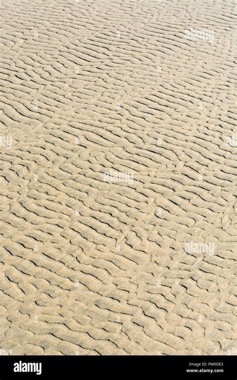 Low Tide Ripple Marks Fluvial Ridges In Wet Beach Sand Mars Like Flow Patterns Concept For