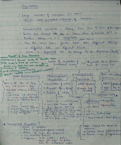 Light Reflection And Refraction Handwritten Notes Artofit