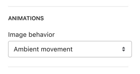 Slideshow Add Ambient Movement To Background · Issue 2341 · Shopify
