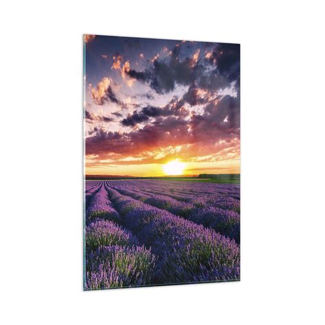Obraz na szkle Lawendowy świat 80x120cm Krajobraz Pole Lawendy