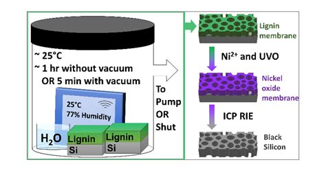 Room Temperature Fabrication Of Macroporous Lignin Membranes For The Scalable Production Of