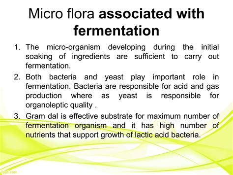 Idli Indian Fermented Food South Indian Dishppt Nutrition Healthy Living