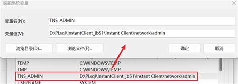 Plsql环境配置详细步骤plsql环境变量配置 Csdn博客