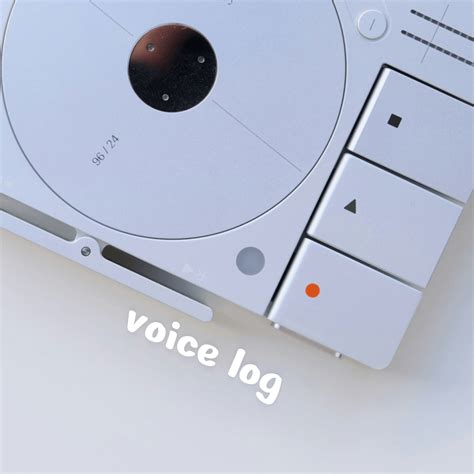 Voice Log 플링