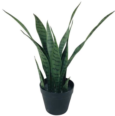 Langue De Belle Mère Artificielle Acheter Plante Verte Sanseviera