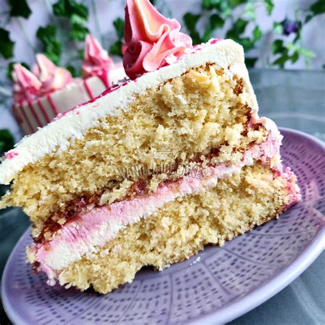 Vanilla Ice Cakes Coconut And Raspberry Cake Slice