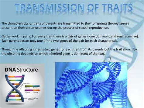 Heridity And Evolution Biology Class 10 Cbse Ppsx Reproductive