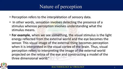 Perception Bpptx