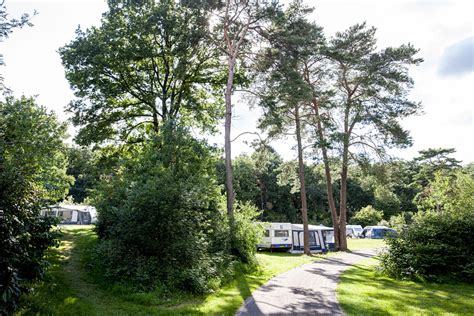 Camping In Assen Vakantiepark Witterzomer