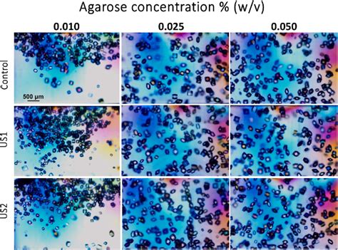 Lysozyme Crystals Obtained In Solution Under Silent Condition Control