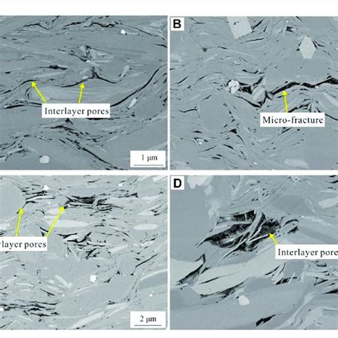 Development Characteristics Of Interlayer Pores And Microfractures In