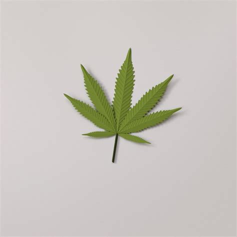 Top Inspirasi Pot Leaf 3d Model Model Pot Top Inspirasi Pot Leaf 3d Model Model Pot