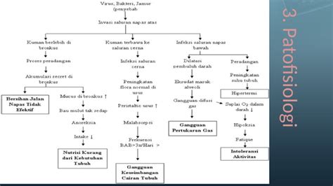 Ppt Endokarditispptx Sistematis Cardiovaskuleer Pptx