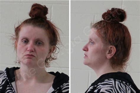 Candice Smith — Houston County Jail Bookings