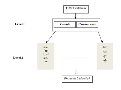Hierarchical Phoneme Recognition System Download Scientific Diagram