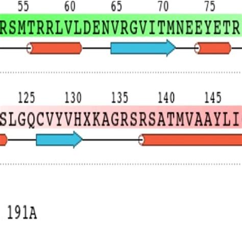 Sequence Of Ptpmt1 Denoting The Secondary Structures Download