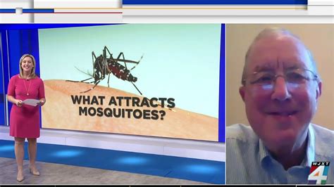 The Science Behind Mosquito Attraction What Draws These Pesky Insects