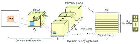the basic architecture of capsnet download scientific diagram