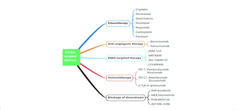 Current Approaches Of Kras Mutant Nsclc Nsclc Non Small Cell Lung