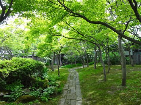やませ蔵美術館初夏の特別開館のご案内置賜観光情報サイトおきたまジェーピー山形おきたま観光協議会