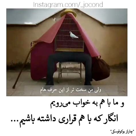 پرنده آبی