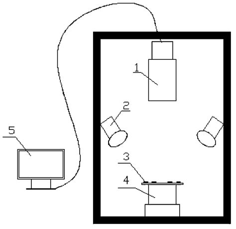 Rice Leaf Blast Disease Resistance Identification Grading Method Based On Multi Scale