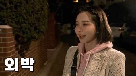 우리 집에 고양이 보러 갈래 Youtube