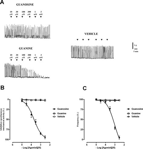 A Original Tracings Showing The Inhibitory Effects Induced By