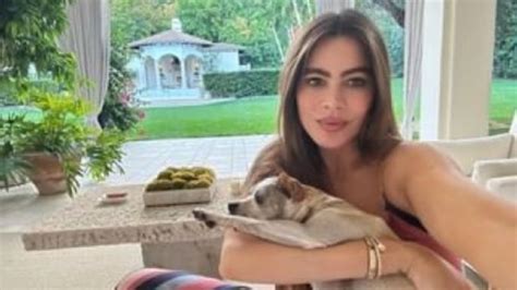 Quién es el famoso artista con el que estaría coqueteando Sofía Vergara