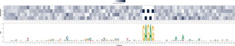Example Usage Of ArchR On Simulated DNA Sequences ArchR